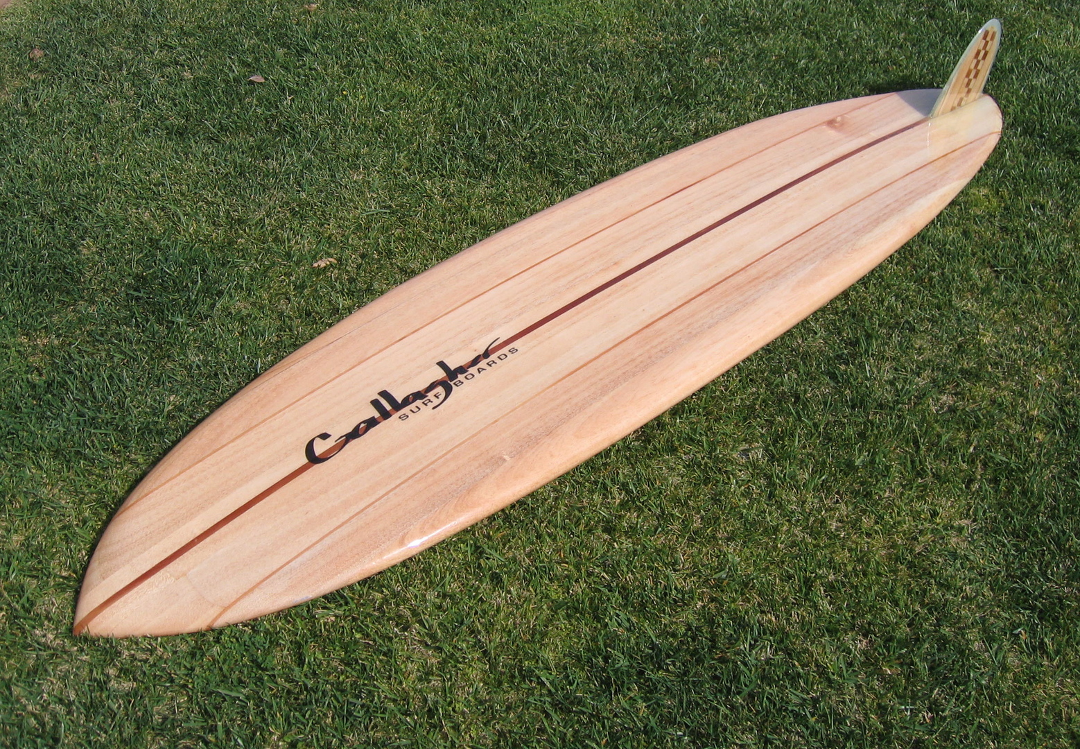 Legno di Balsa: dalla coltivazione allo shaping - 4ActionSport