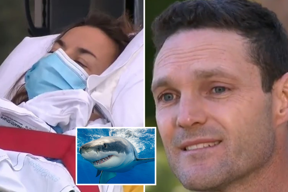 Attacco di squalo in Australia: surfista salva la moglie prendendo a ...