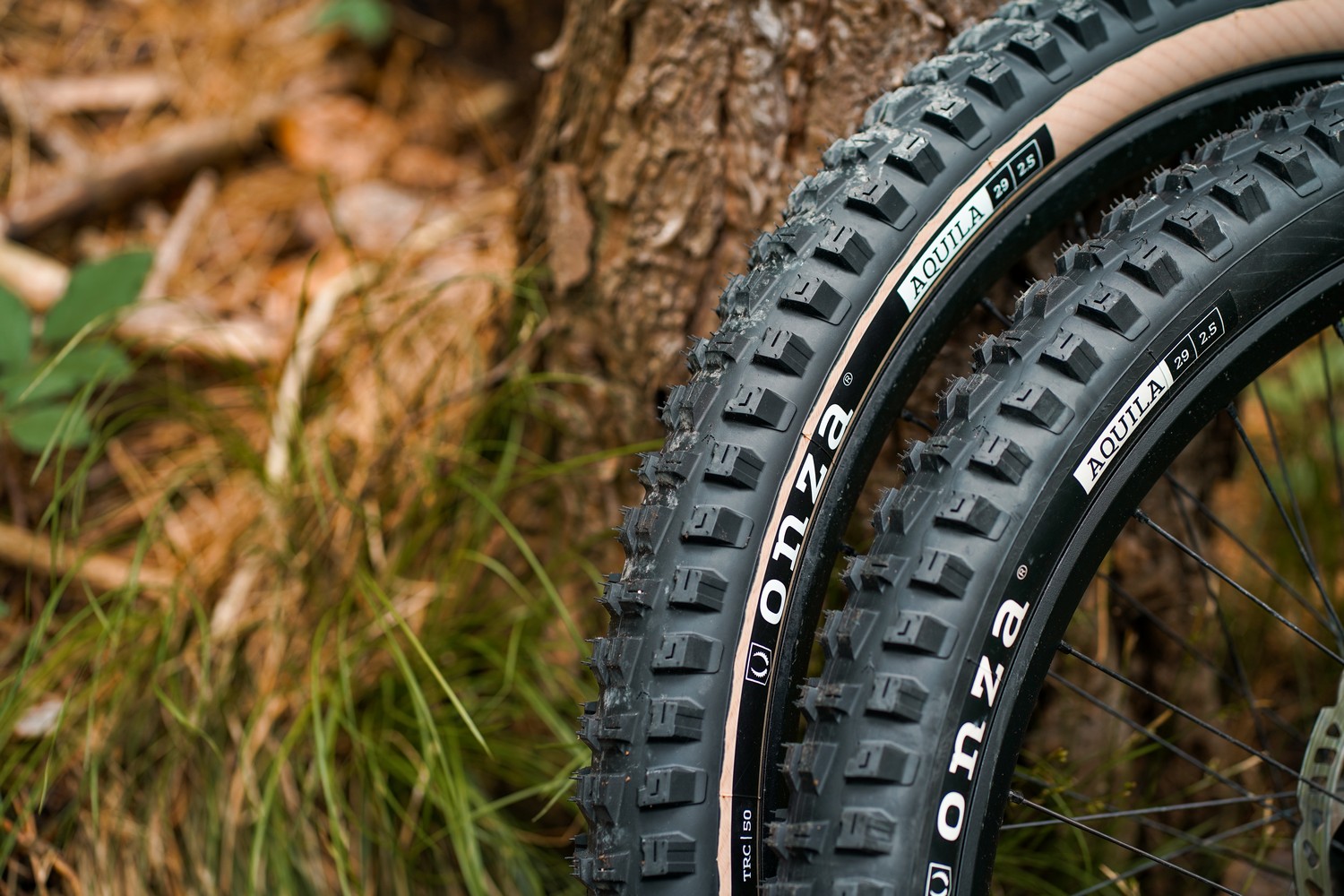 Onza Aquila gomme nate per il downhill - 4ActionSport