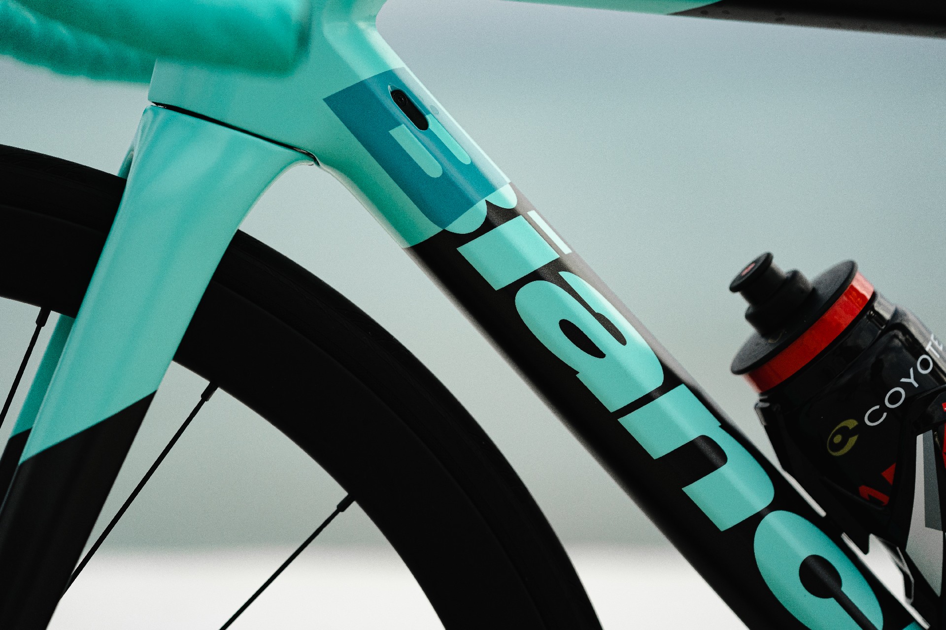 Dal Reparto Corse Bianchi le bici del Team Arkéa-Samsic - 4ActionSport