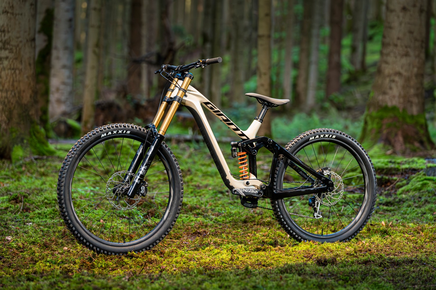 Giant Glory Advanced nuova vita per la gloriosa arma da DH - 4ActionSport
